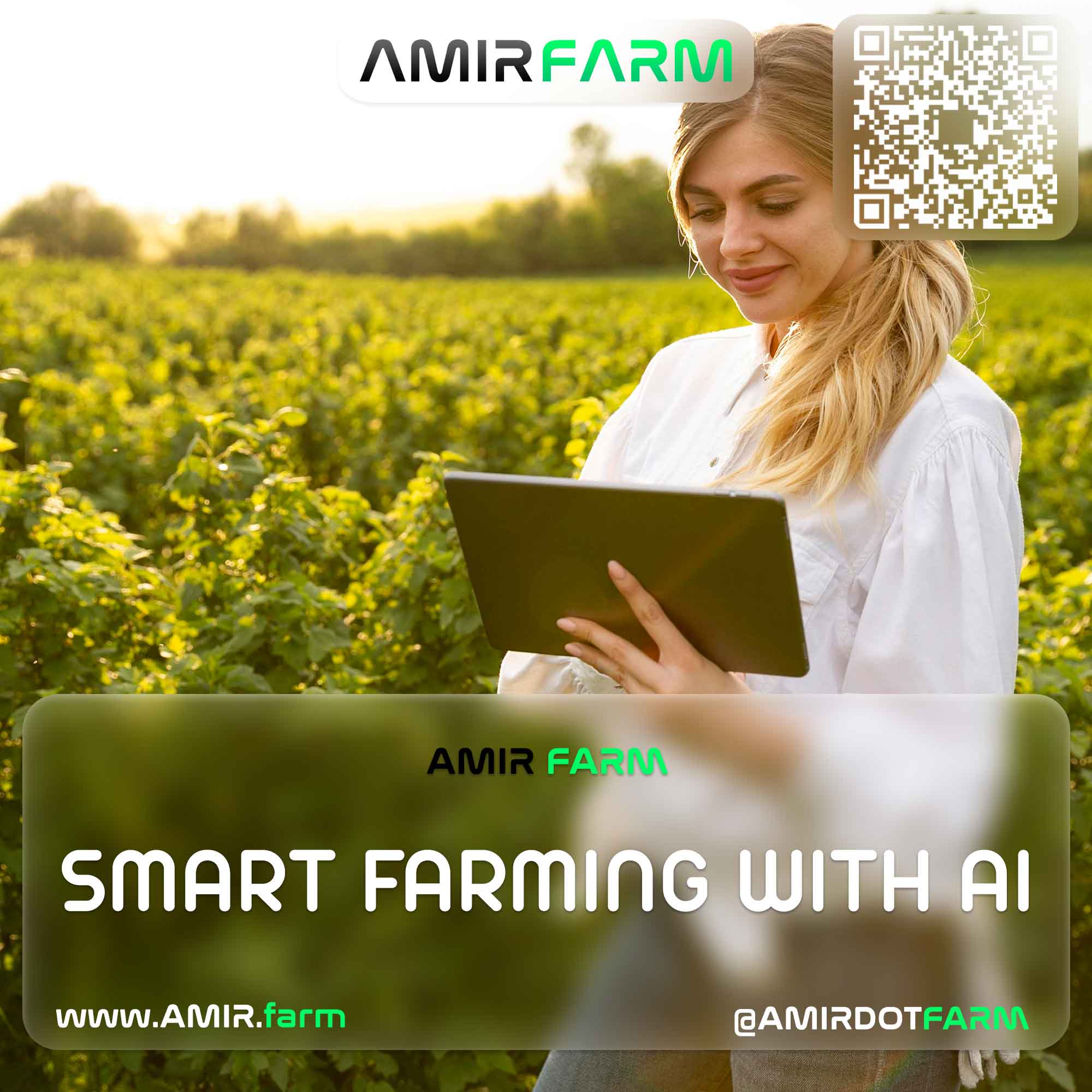 FARM - 🟢 AMIR FARM 🟢