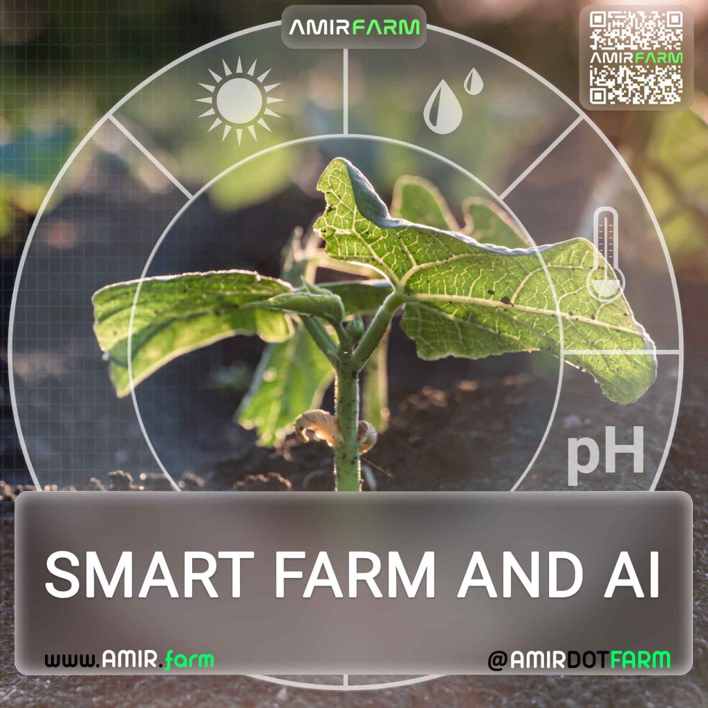 SMART FARM AND AI - AMIR🟢FARM