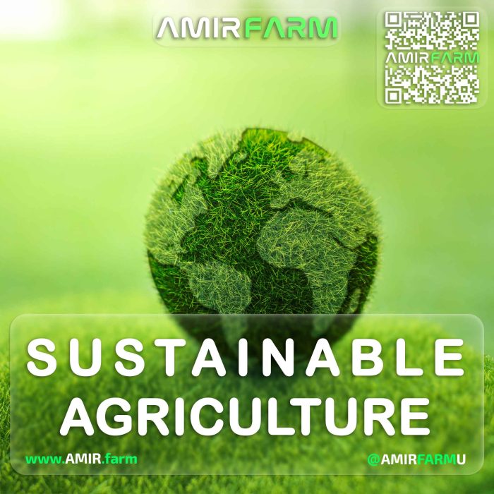 Sustainable Agriculture: Nurturing the Earth for Future Generations - AMIR🟢FARM