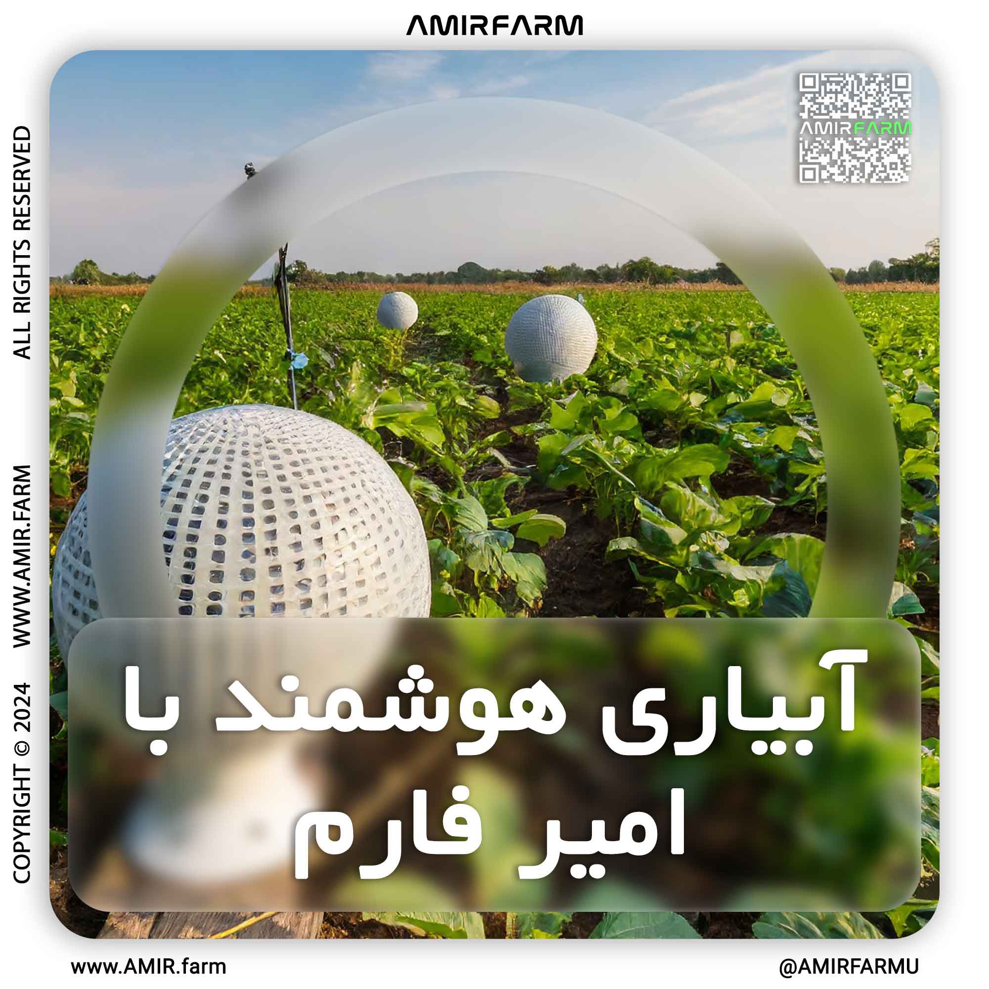 IRRIGATION - AMIR🟢FARM