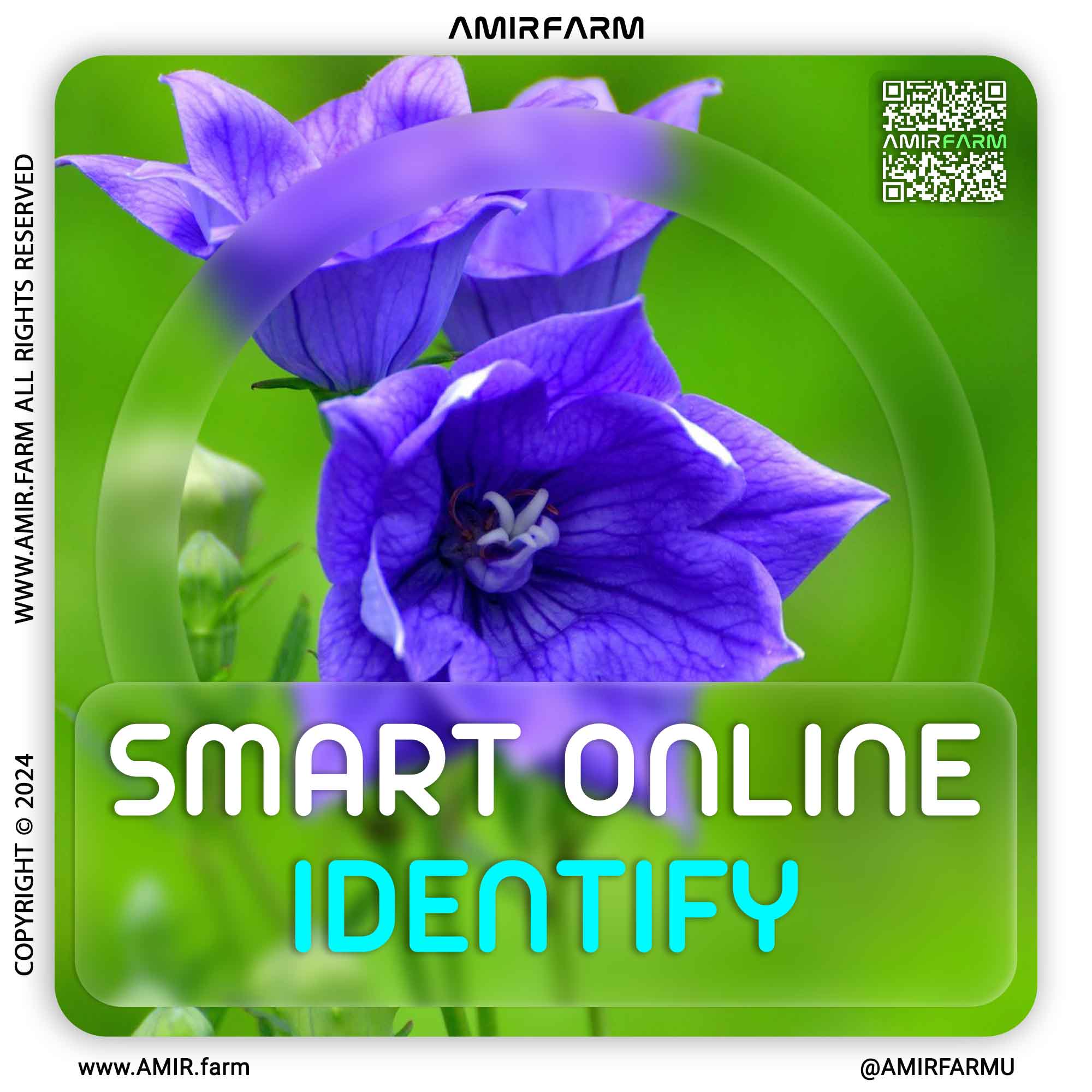 IDENTIFY - 🟢 AMIR FARM 🟢