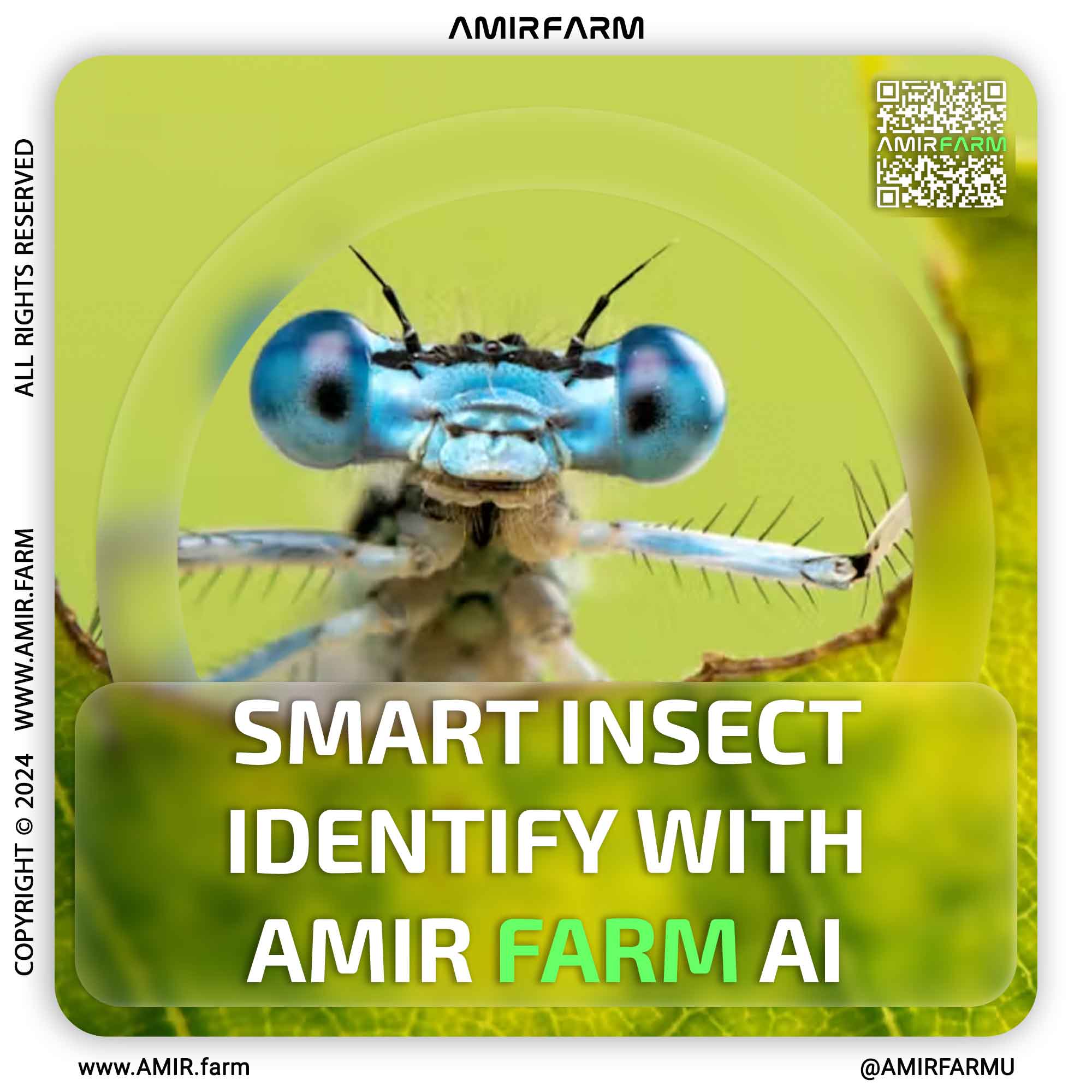 Insect Identification - AMIR🟢FARM