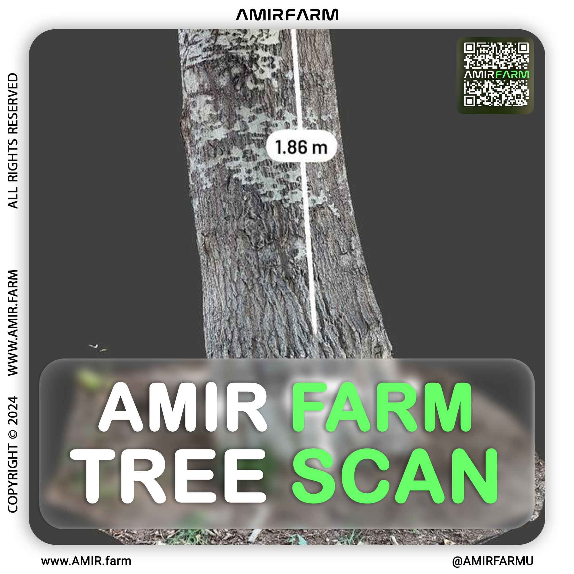 شناسایی آنلاین درختان و تشخیص آفات درختان و سن درختان با فناوری اختصاصی امیر فارم - AMIR🟢FARM