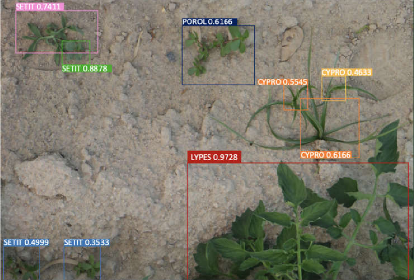 ربات هوشمند تشخیص و نابودی علف هرز امیر فارم - AMIR🟢FARM