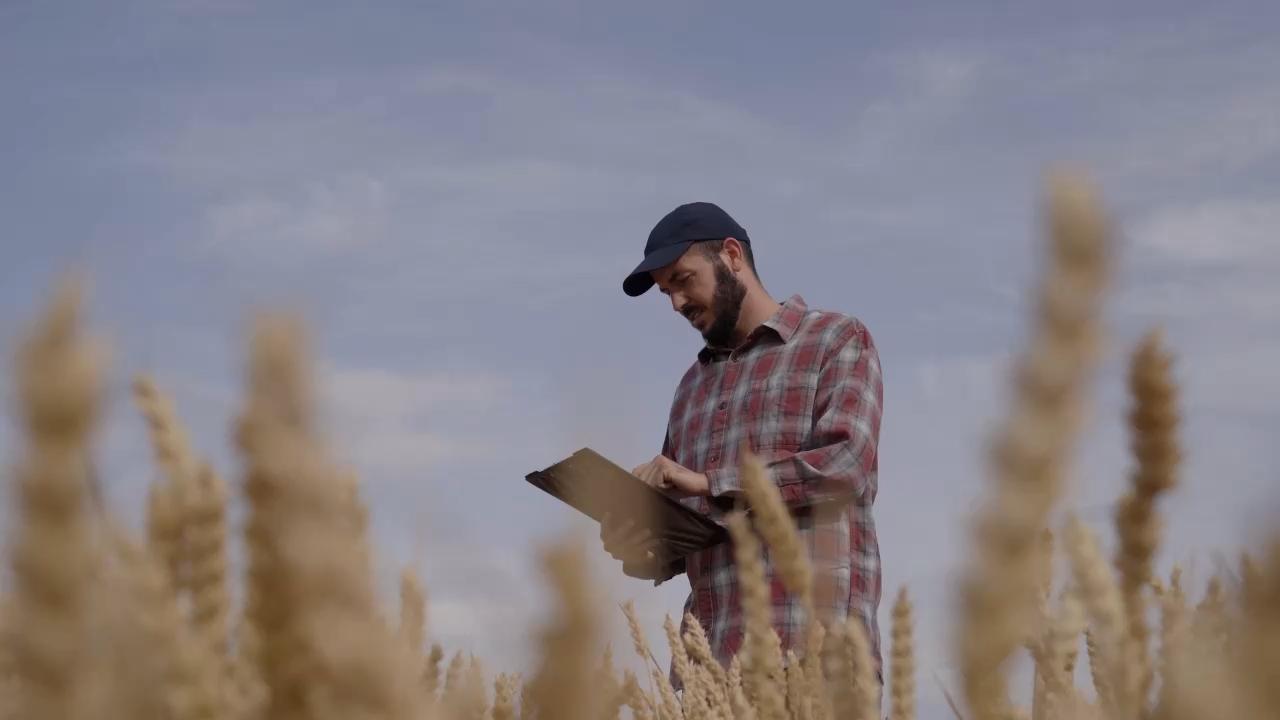 IDENTIFY - 🟢 AMIR FARM 🟢